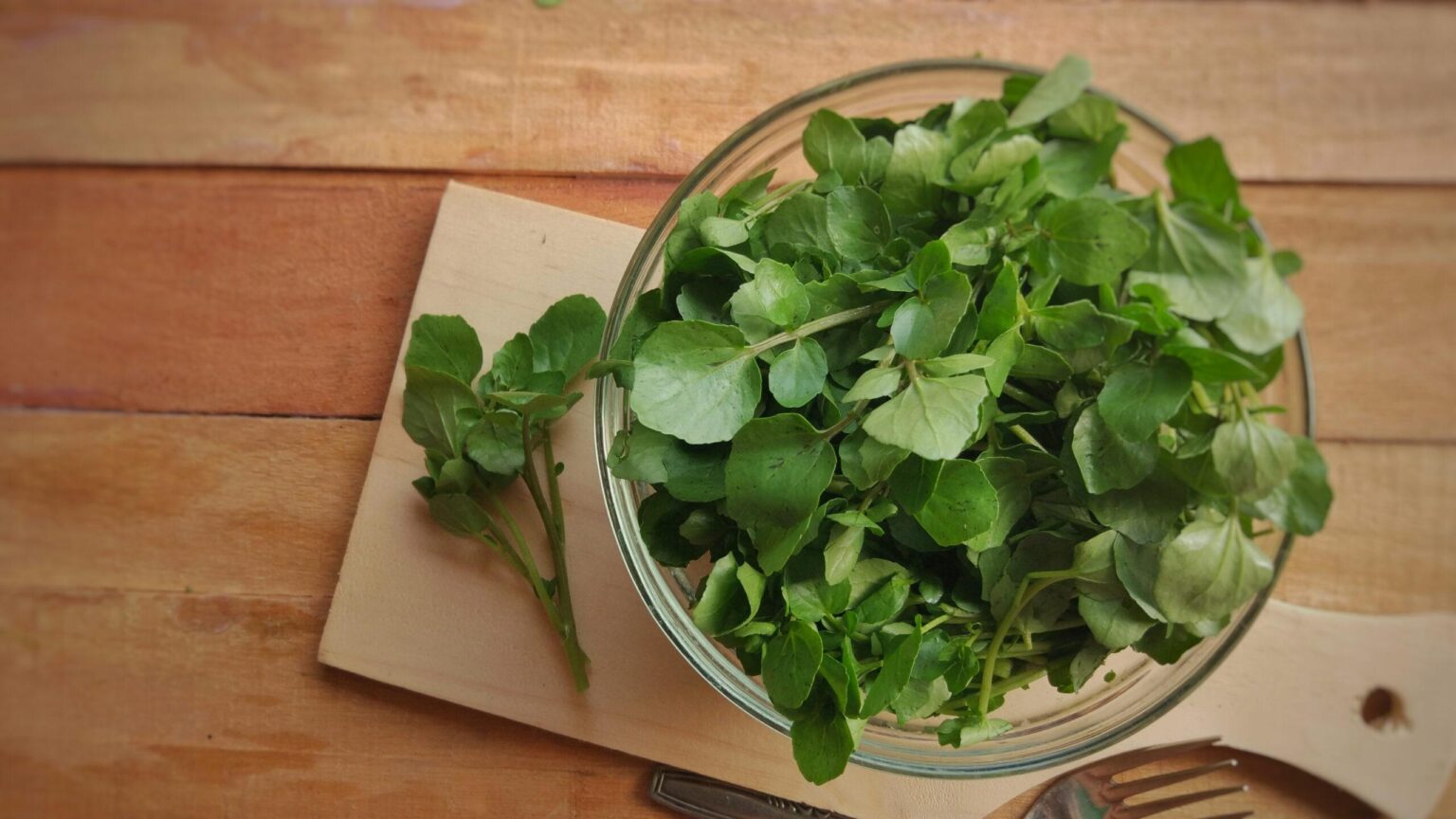 Potočnice lékařská – účinky, vitaminy, využití - Verge.cz